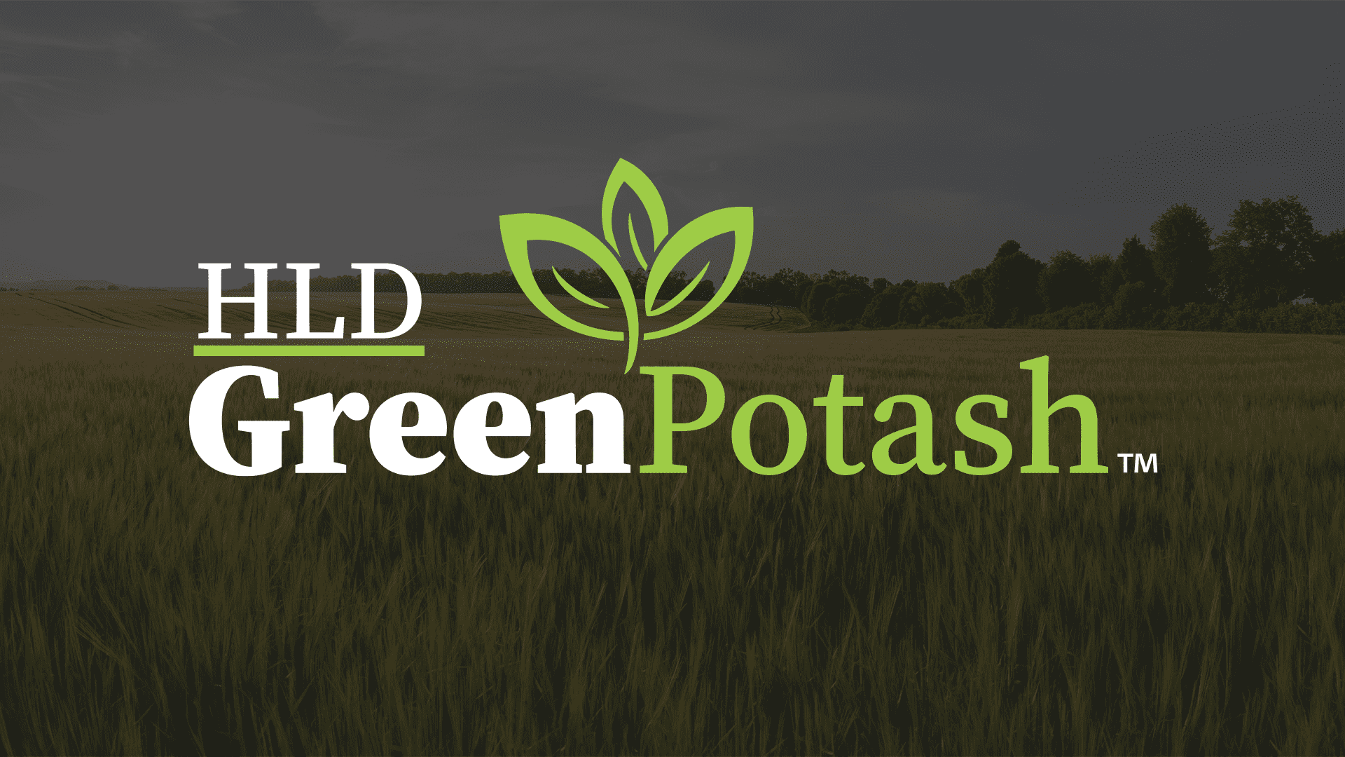 Buffalo Potash Corp | HLD Selective Solution Mining